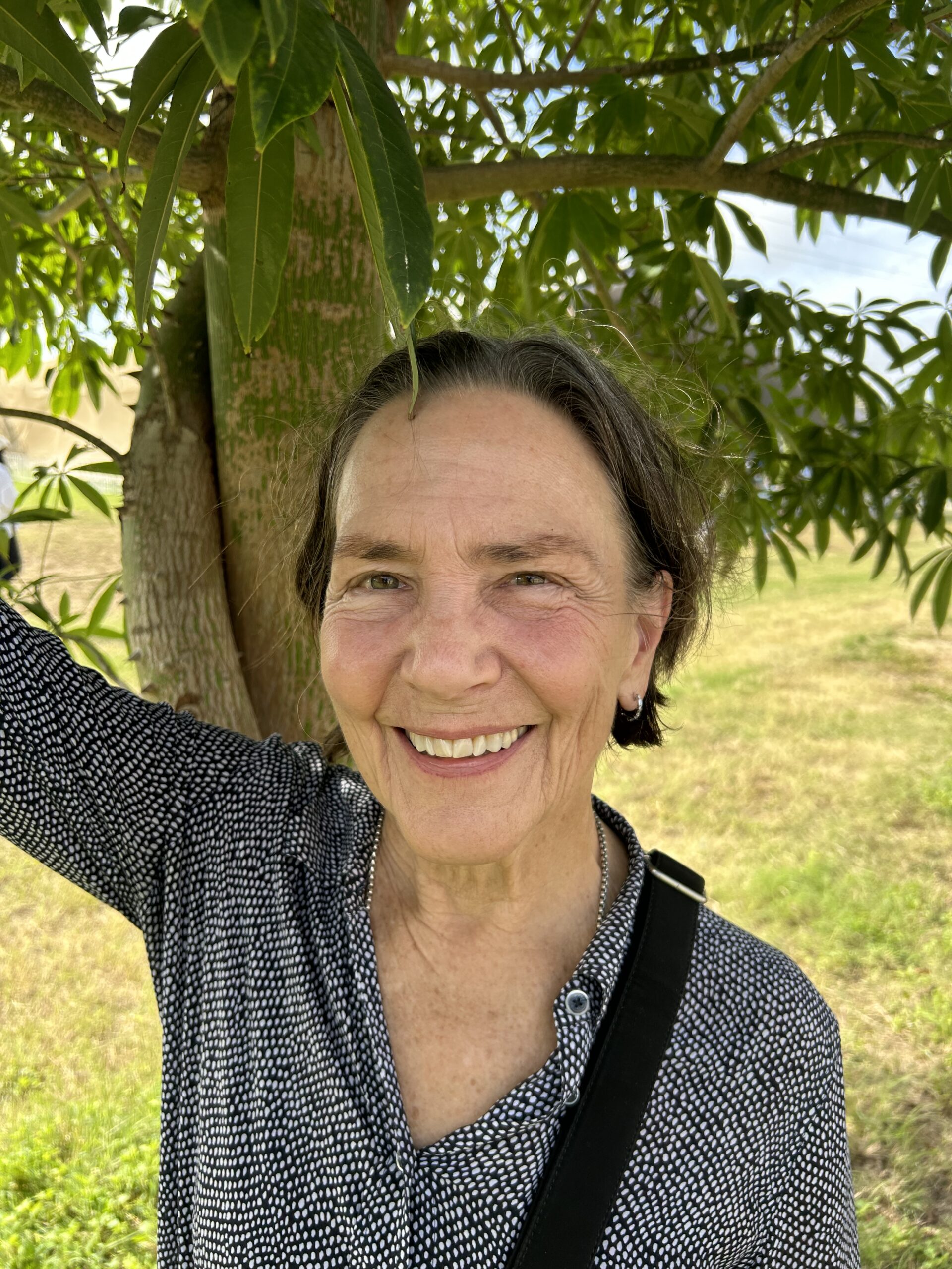 The Tibetan Book of the Dead: Contemporary Perspectives on Death, Dying ...